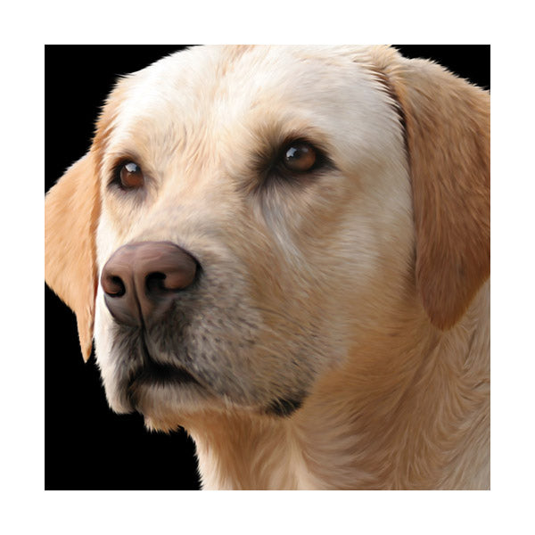 DOG LICENSE PLATES – Salty Bones