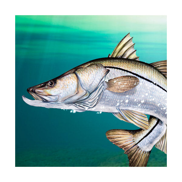 FISHING LICENSE PLATES – Salty Bones