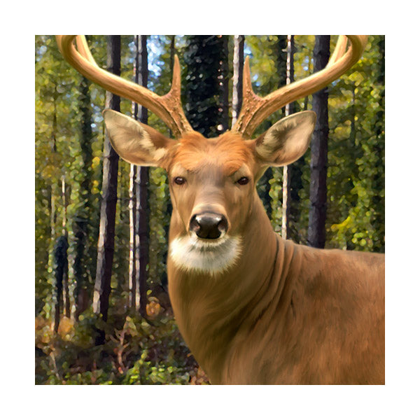 HUNTING LICENSE PLATES – Salty Bones