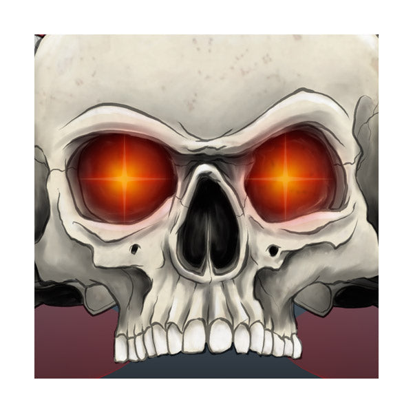 SKULL LICENSE PLATES – Salty Bones