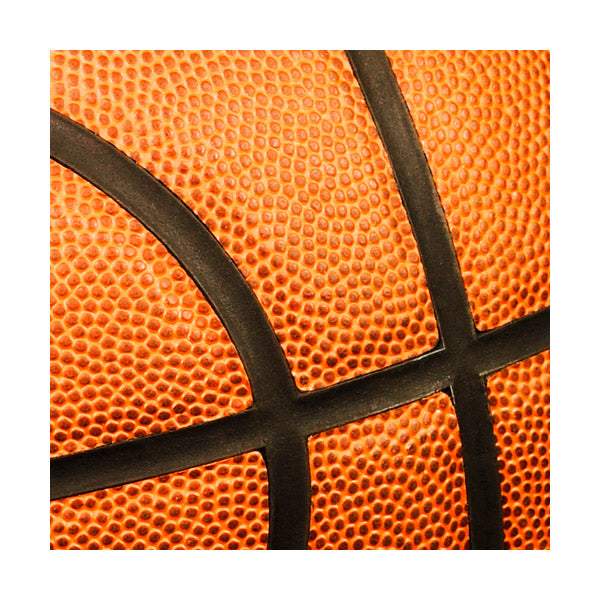 SPORTS AND RECREATION LICENSE PLATES – Salty Bones