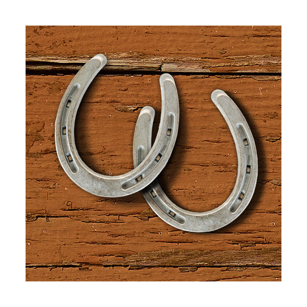 WESTERN LICENSE PLATES – Salty Bones