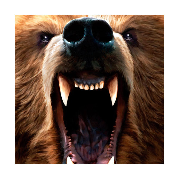 WILDLIFE LICENSE PLATES – Salty Bones