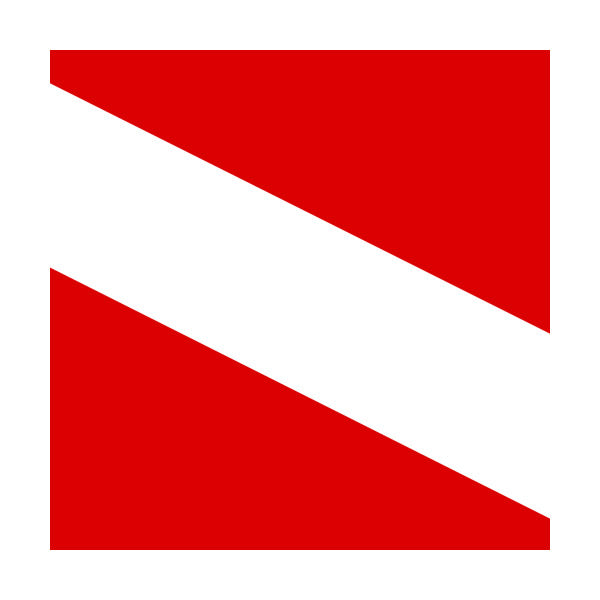 DIVING LICENSE PLATES – Salty Bones