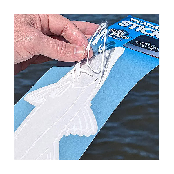 PLOTTED STYLE DECALS – Salty Bones