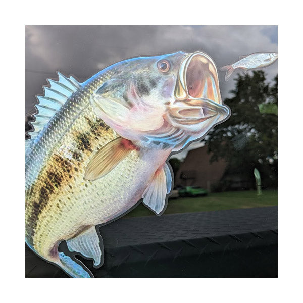 HUGE DECALS – Salty Bones