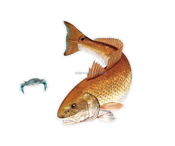 Redfish Mega Decal – Salty Bones