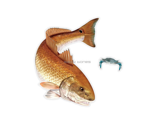 Redfish Mega Decal – Salty Bones