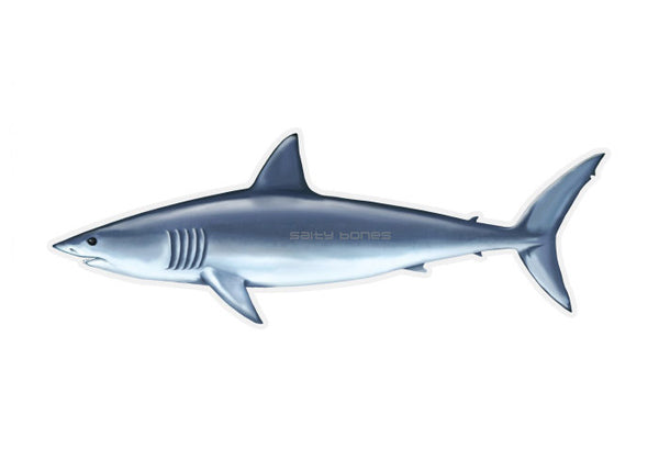 Mako Shark Profile Fish Decal – Salty Bones