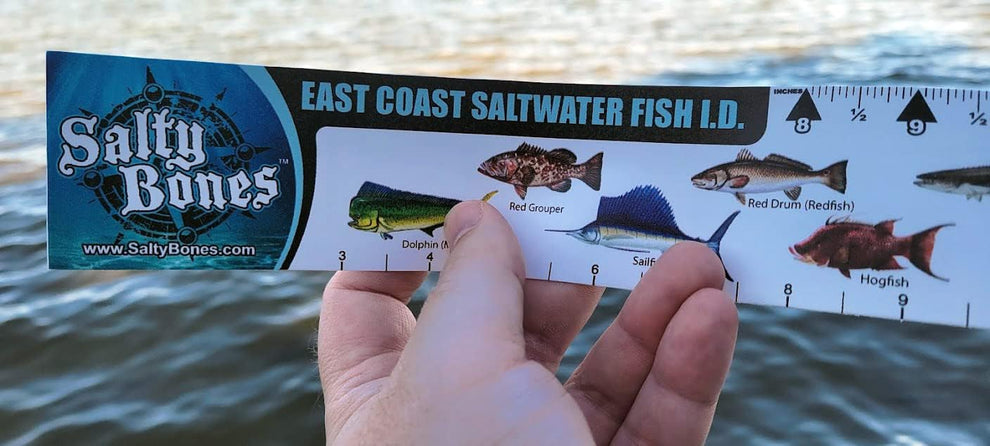 Salty Bones East Coast Saltwater Fish ID Sticker Ruler