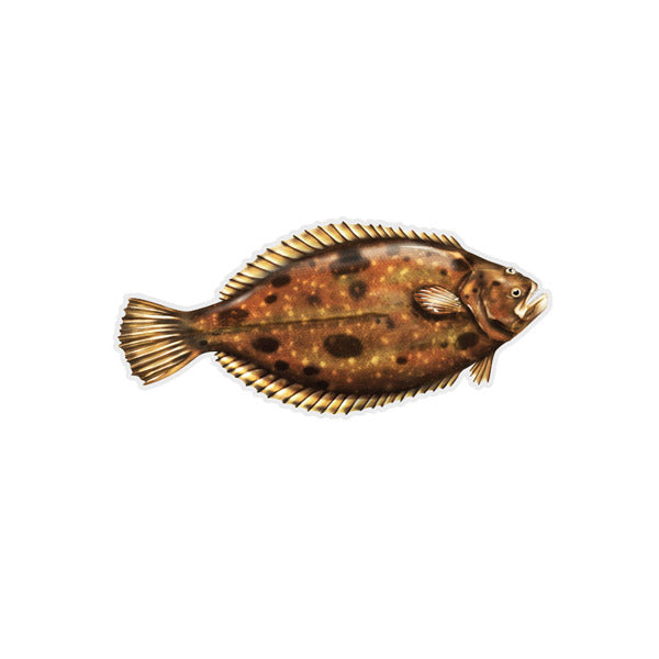 Fluke Mini Profile Fish Decal – Salty Bones