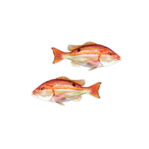 Lane Snapper Mini Profile Fish Decals – Salty Bones