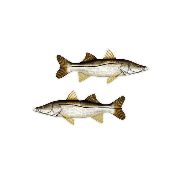 Snook Mini Profile Fish Decals – Salty Bones