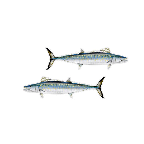 Spanish Mackerel Mini Profile Fish Decals – Salty Bones
