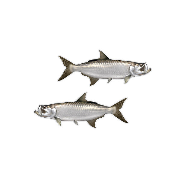 Tarpon Mini Profile Fish Decals – Salty Bones