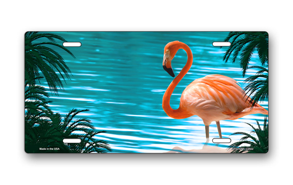 SCENIC LICENSE PLATES – Salty Bones
