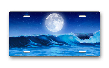 BEACH LIFE LICENSE PLATES – Salty Bones