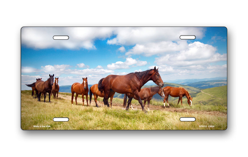 HORSE LICENSE PLATES – Salty Bones